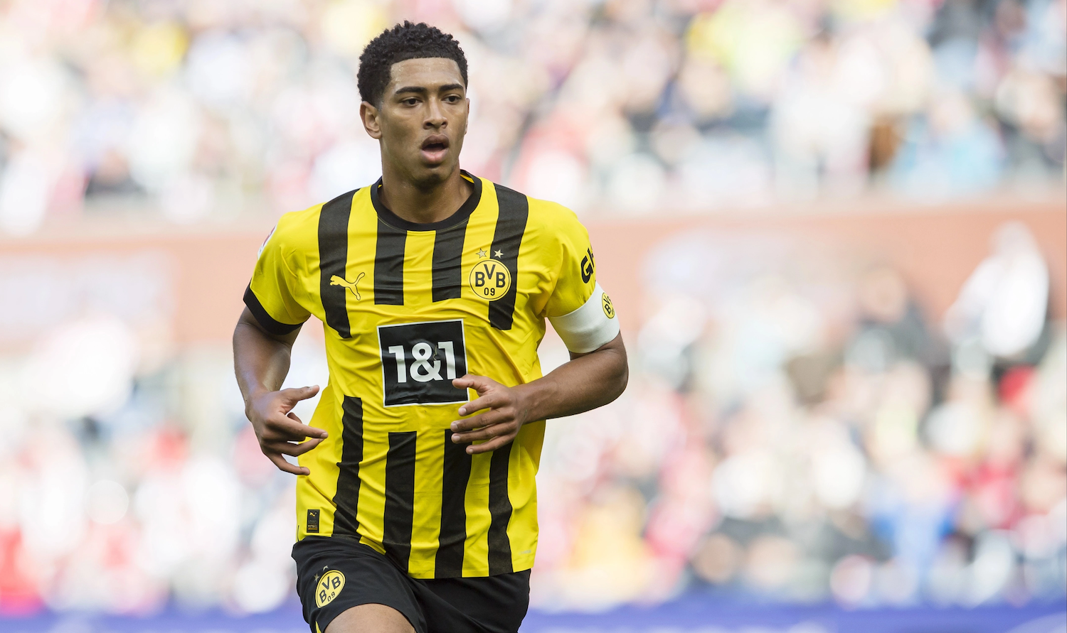 Natural Born Leader - Mario Melchiot